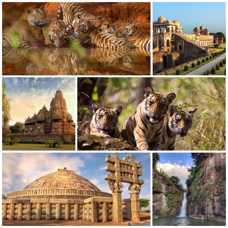 Book India Tour Packages | Explore Madhya Pradesh, Rajasthan, Kerala, Leh, Goa & More | FabMyTrip